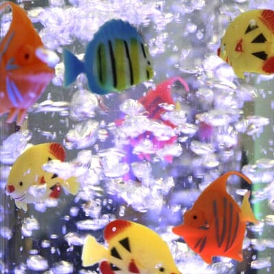 fish bubble tubes